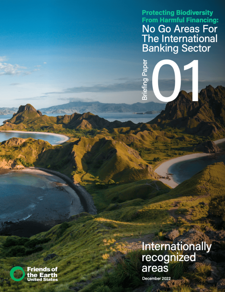 No Go Areas For The International Banking Sector Paper 1 No Go Areas For The International Banking Sector Paper 1