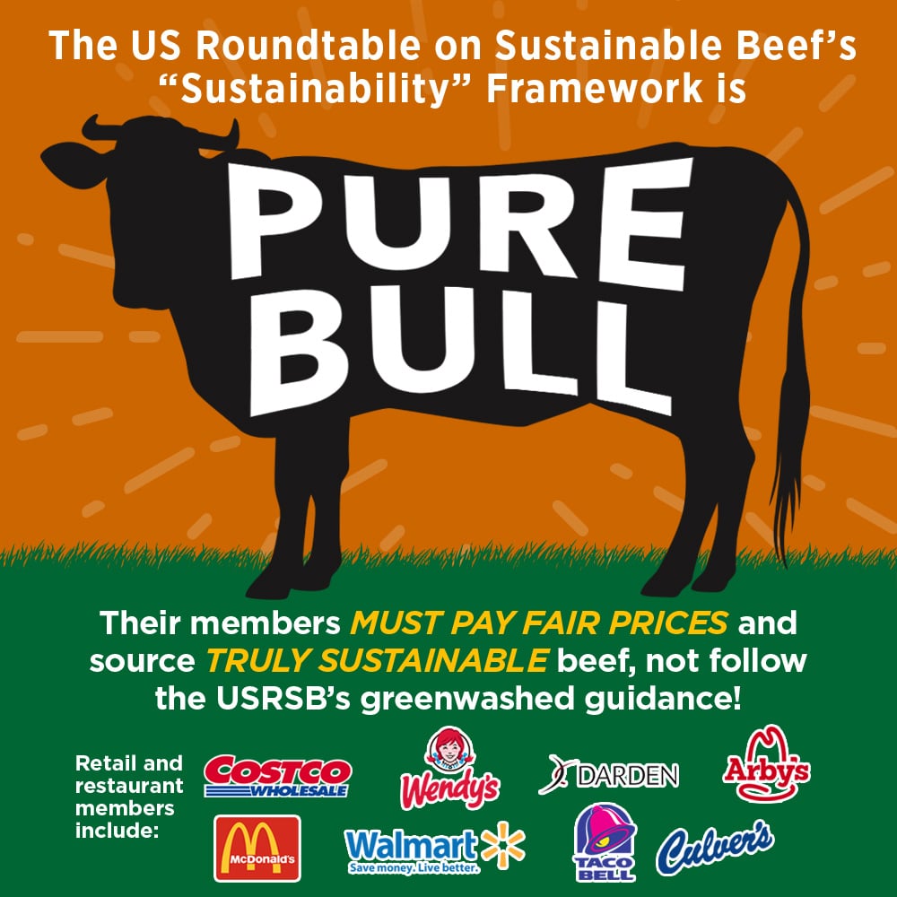 Leading NGOs expose greenwashing by U.S. Roundtable for Sustainable ...