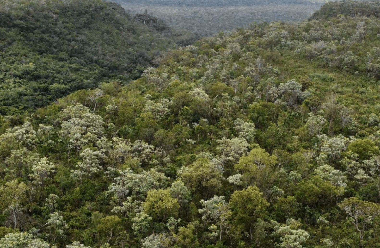Activists call on Governor Kathy Hochul to sign the NY TREES Act