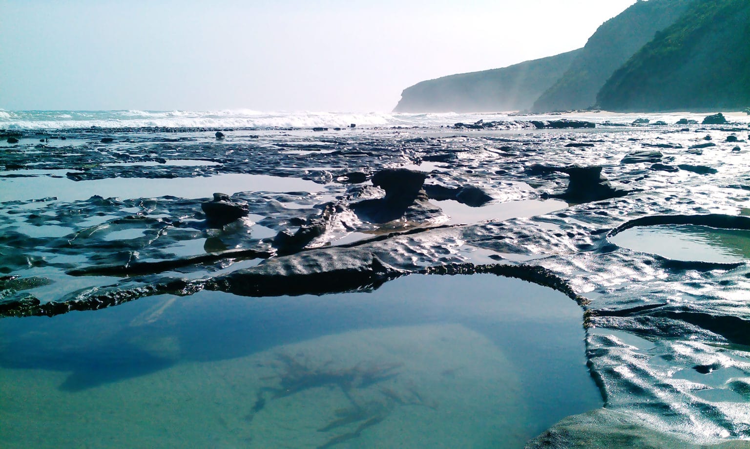 Cruise Ship Water Pollution • Friends of the Earth