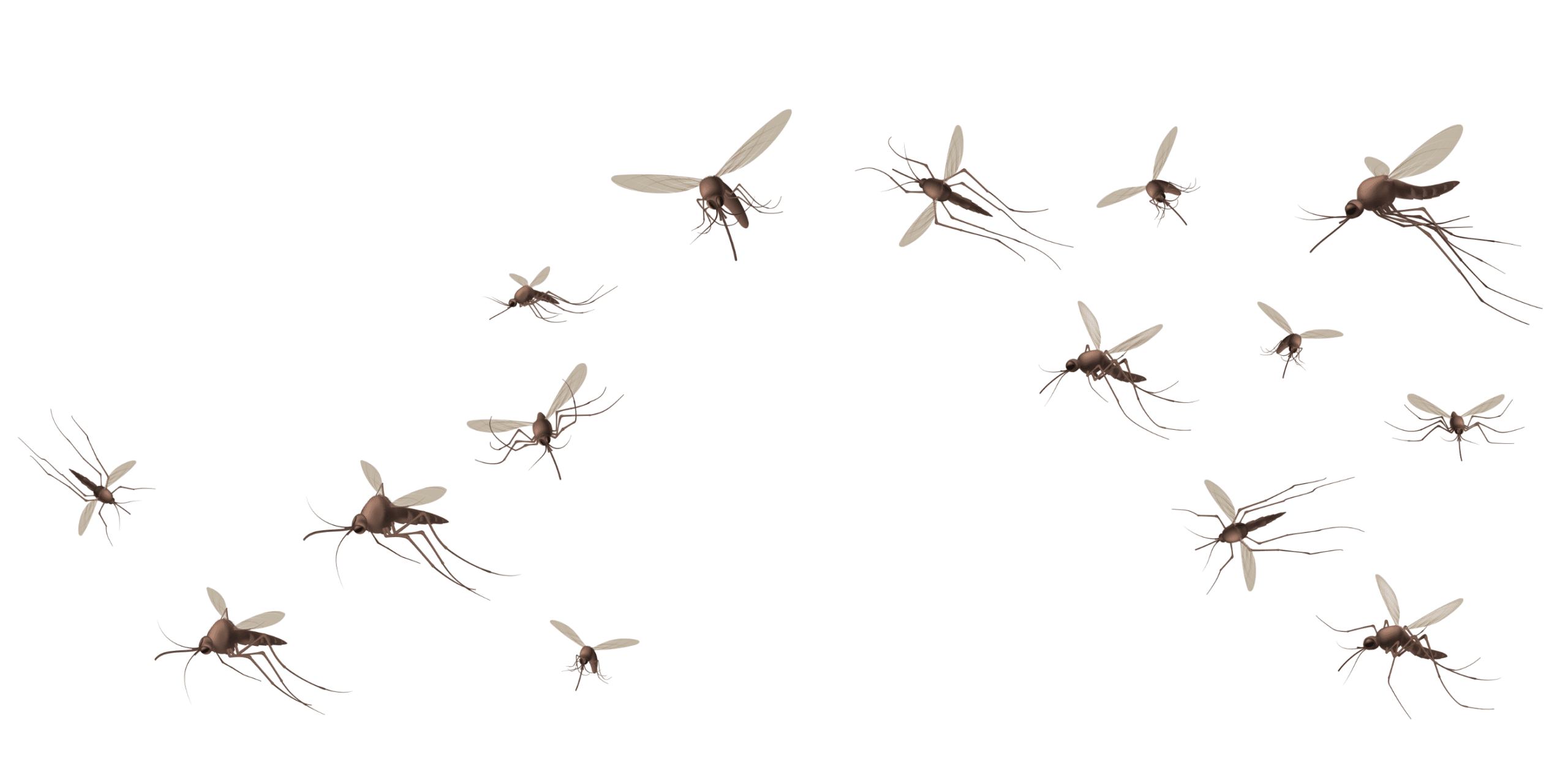 Genetically Engineered Insects Friends Of The Earth Genetically Engineered Insects Friends Of The Earth