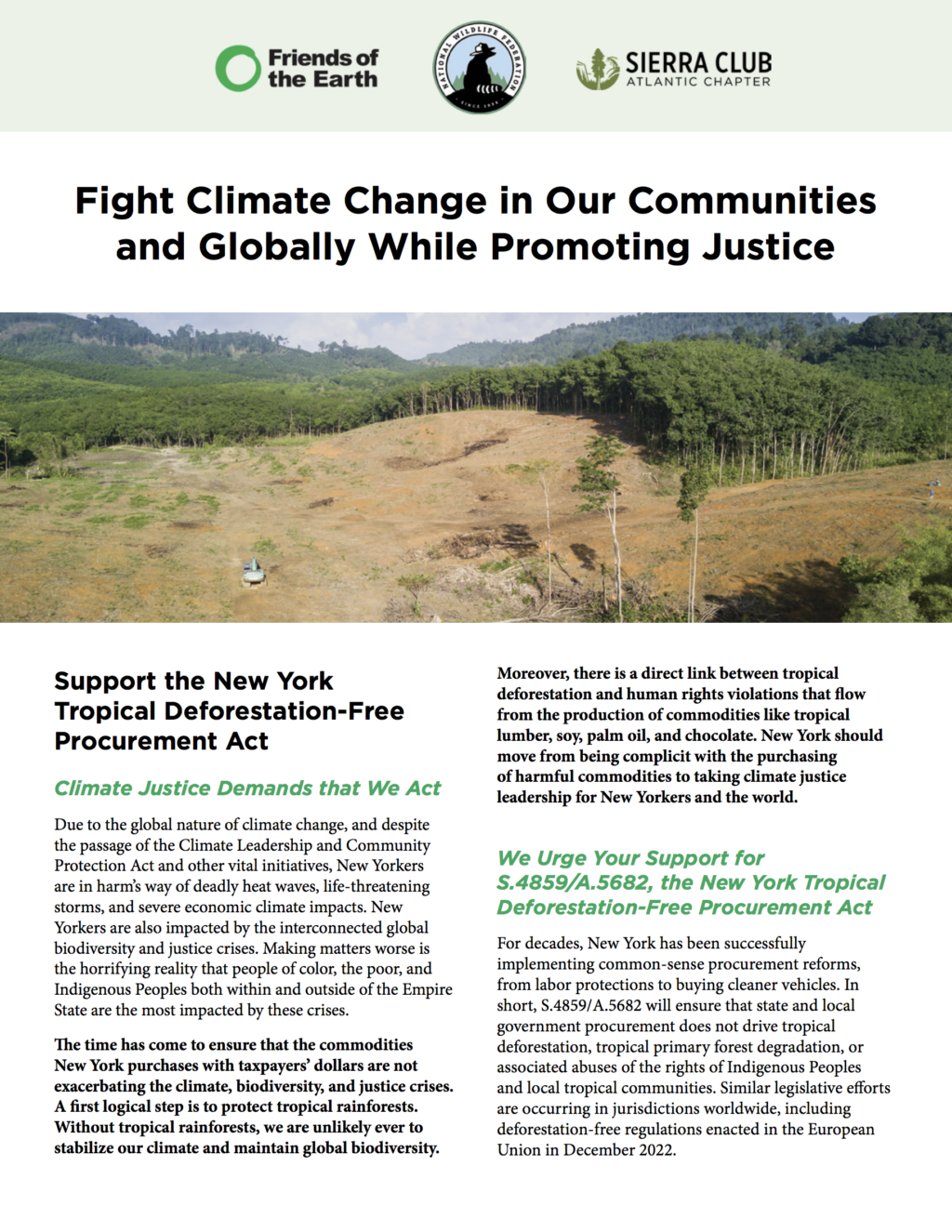 NY Tropical Deforestation-Free Procurement Act fact sheet