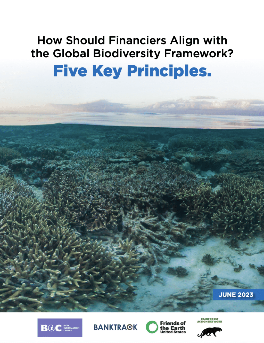 How Should Financiers Align with Global Biodiversity Framework?
