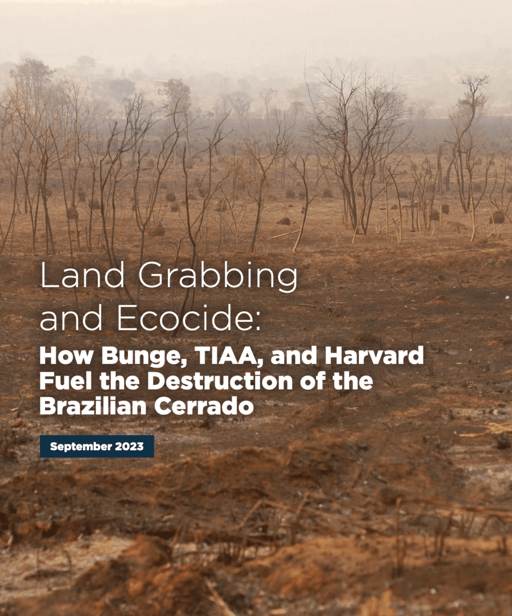 Land Grabbing and Ecocide