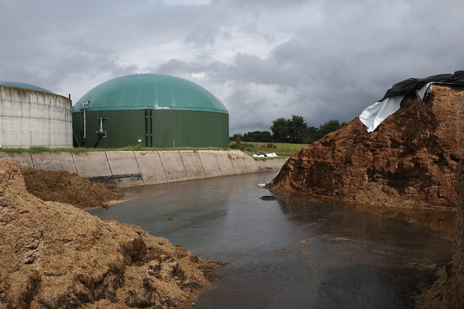 Manure biogas is a climate smokescreen for big agriculture